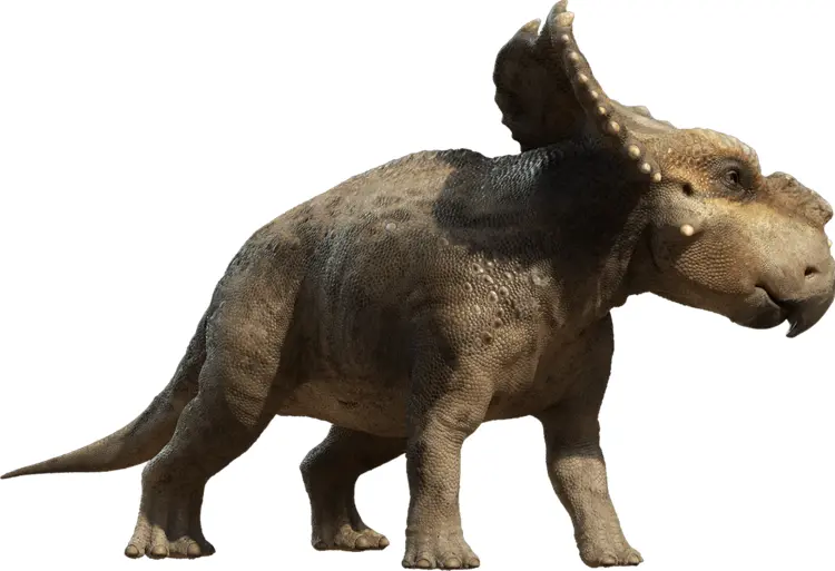 Sturdy Dinosaur with Frill