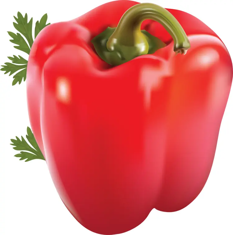 Whole Red Bell Pepper