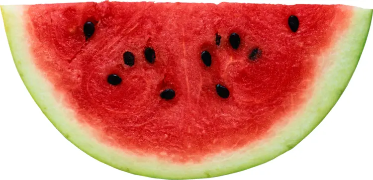 Red Half Watermelon Slice