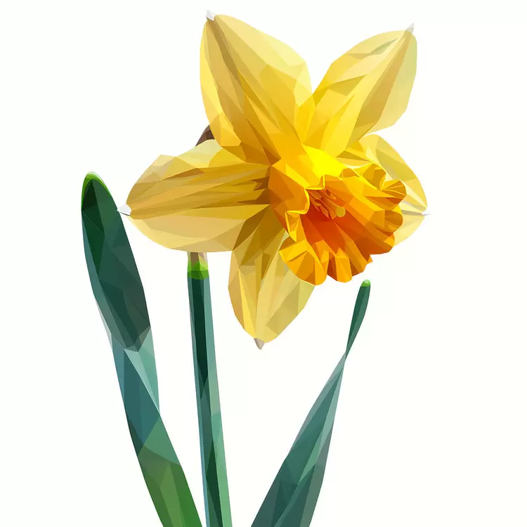 Modern design Polygon art Simple illustration Low poly style flower